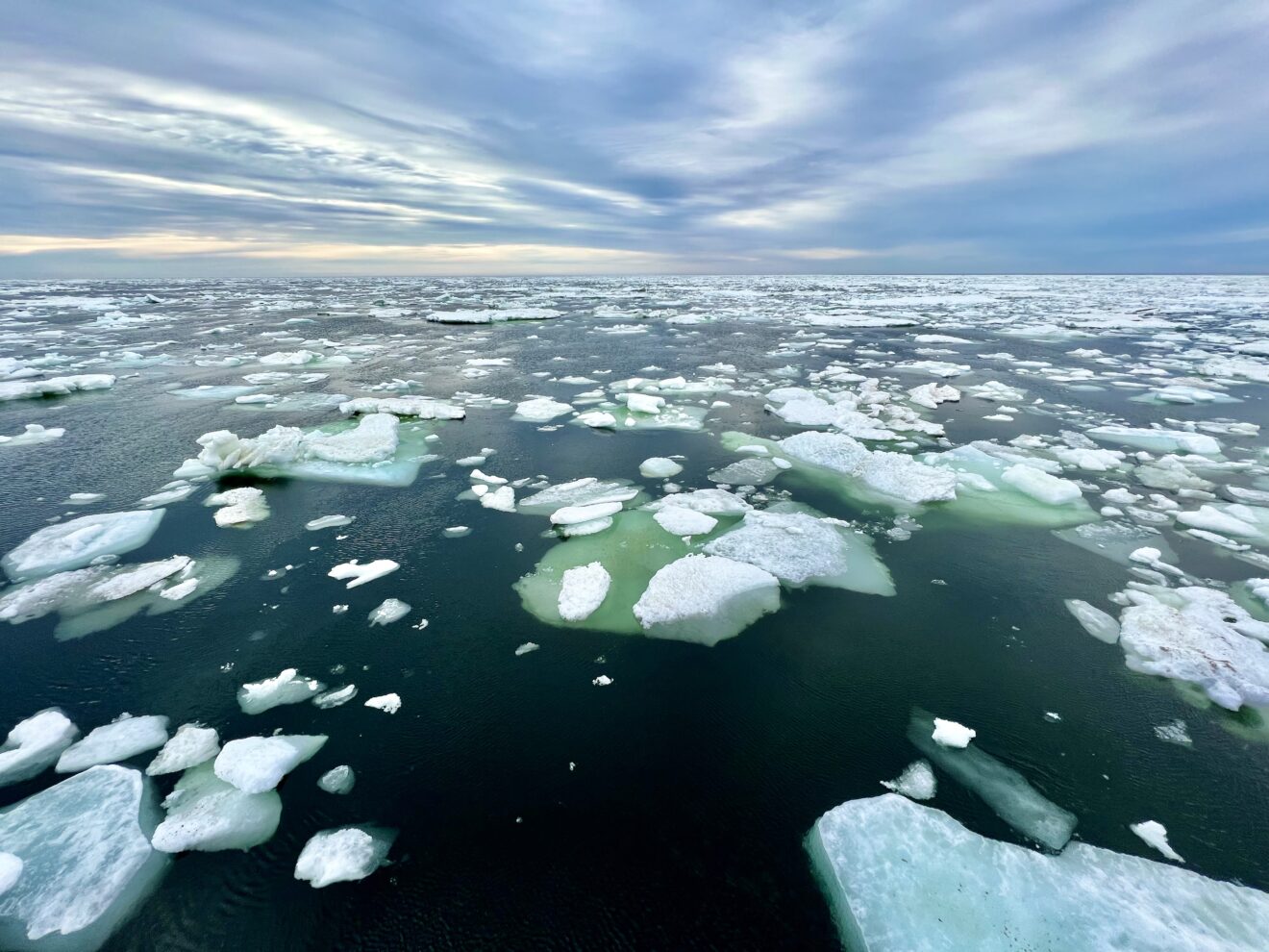 Oceans North | Homepage